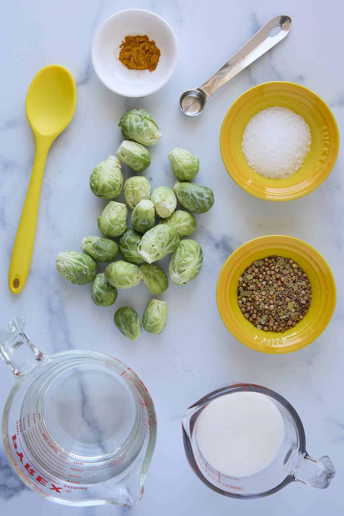 Frog Balls aka Pickled Brussels Sprouts - A Bee Made It