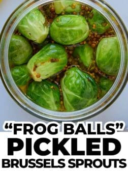 Frog Balls aka Pickled Brussels Sprouts - A Bee Made It